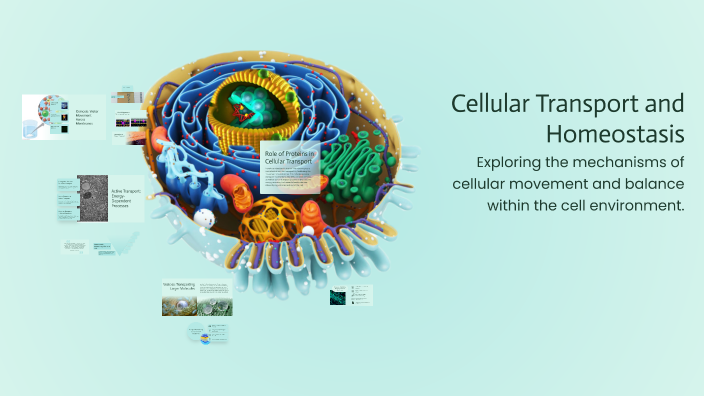 Cellular Transport and Homeostasis by Lonita Mjeku on Prezi