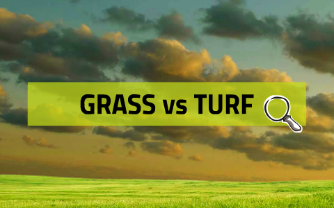 GRASS vs TURF by Caitlin Curtis on Prezi
