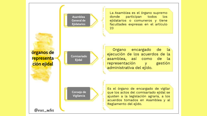 órganos de representación ejidal by David on Prezi