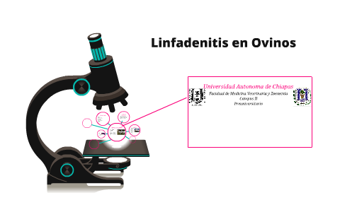 ¿que es la linfadenitis? by Ace Nuñez on Prezi