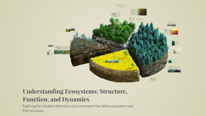 Understanding Ecosystems: Structure, Function, and Dynamics by Mayank ...