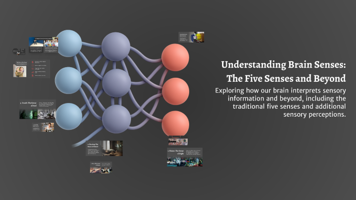 Understanding Brain Senses: The Five Senses and Beyond by Danna Mannani ...
