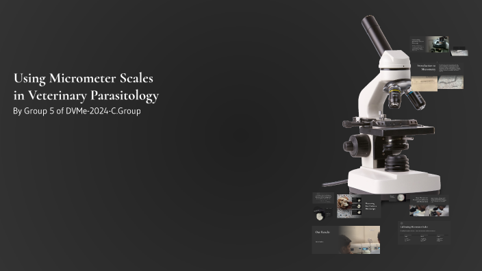 Using Micrometer Scales in Veterinary Parasitology by Ibrahim Salim on ...
