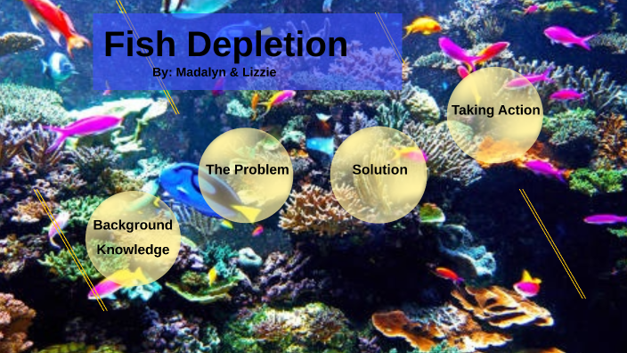 Fish Depletion Project by Madalyn Rushforth on Prezi