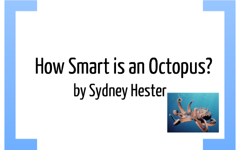 How smart is an octopus? by Sydney Hester on Prezi