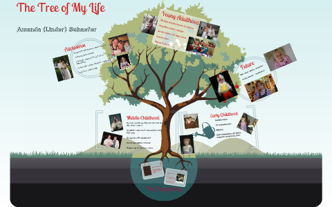 Lifeline Presentation by Amanda Schaefer on Prezi