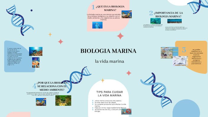 LOS VALORES by Mary Bohorquez on Prezi