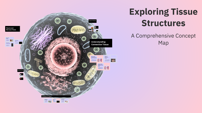 Exploring Tissue Structures by Chyne' Williams on Prezi