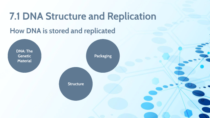 7.1 DNA Structure and Replication by Harper Thomson on Prezi