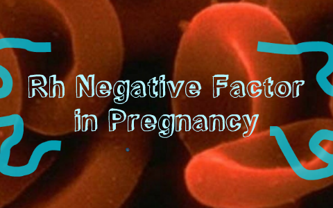 Rh Negative Factor and Pregnancy by Susi Delaney on Prezi