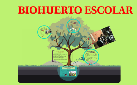 BIOHUERTO ESCOLARES by audry herrera camacho on Prezi