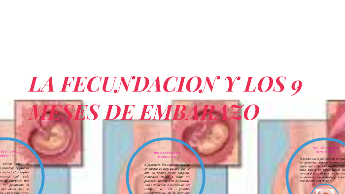 La fecundación, también llamada singamia, es el proceso por by Edison ...