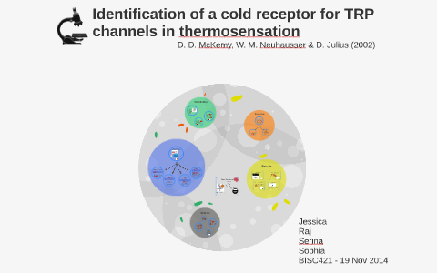 Identification of a cold receptor for TRP channels in thermo by Sophia ...