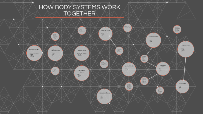 HOW BODY SYSTEMS WORK TOGETHER by Kassandra Lopez on Prezi