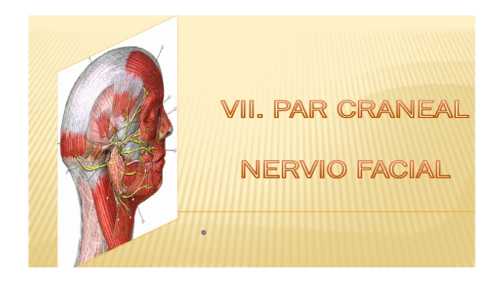 VII PAR CRANEAL - NERVIO FACIAL by Sayro Guerra on Prezi