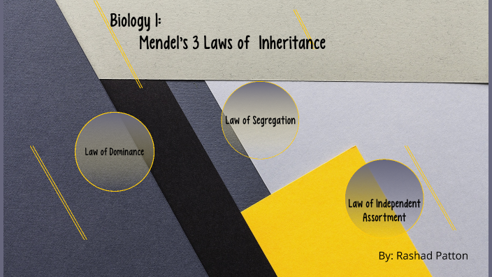 Biology 1: Mendel's 3 Laws of Inheritance by Rashad Student on Prezi