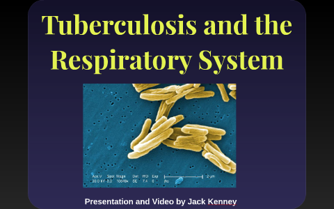 Tuberculosis and the Respiratory system by Jack Kenney on Prezi