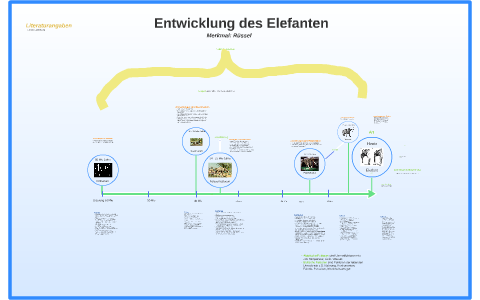 Elefant Evolution (Zeitstrahl) by Celia Vetter on Prezi