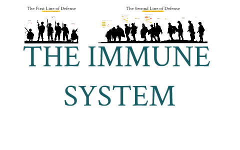 The Immune System Soldiers by nicole yuen on Prezi