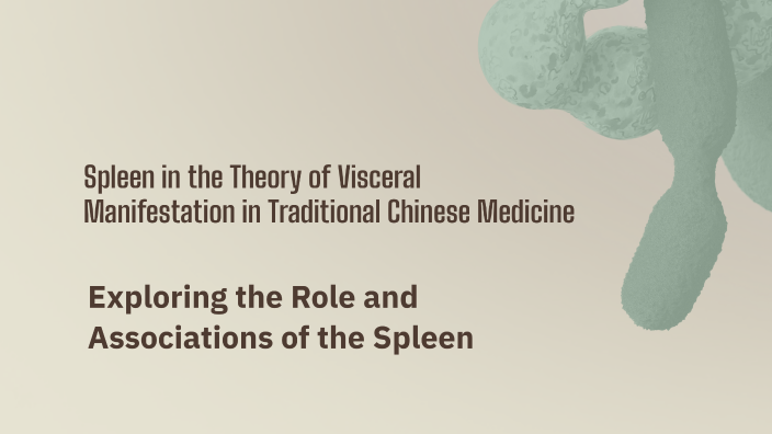 Spleen in the Theory of Visceral Manifestation in Traditional Chinese ...