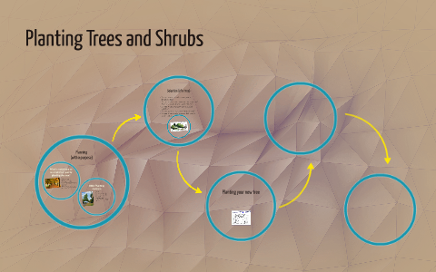 Planting Trees and Shrubs by Barry Burrows on Prezi