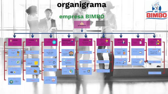 Análisis Del Organigrama De Bimbo: Estructura Y Funcionamiento – LUFV