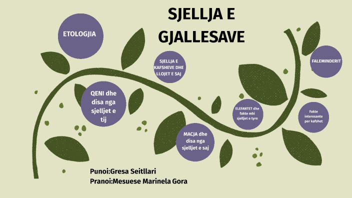 SJELLJA E GJALLESAVE by Gresa Seitllari on Prezi