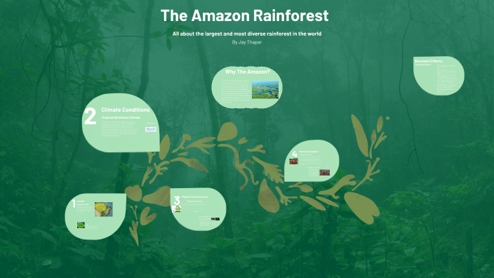 The Amazon Rainforest by Jay THAPAR (G6) on Prezi