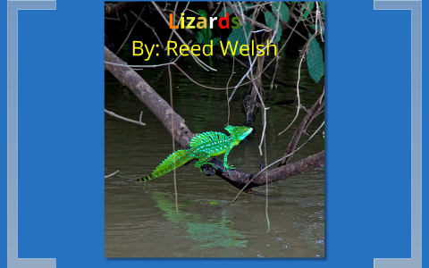 Lizards by Reed Welsh on Prezi