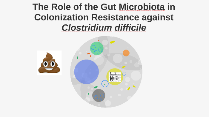 The Role of the Gut Microbiota in Colonization Resistance ag by A.M. S ...