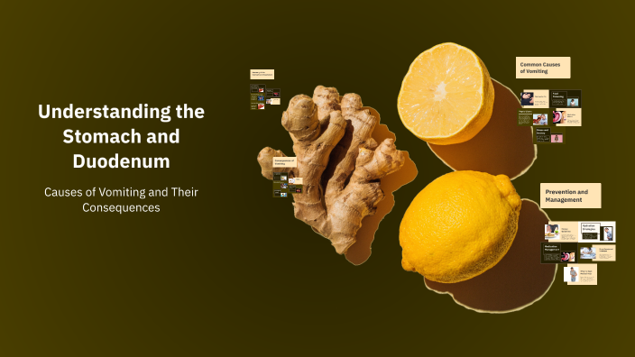Understanding the Stomach and Duodenum by alisa dindic on Prezi