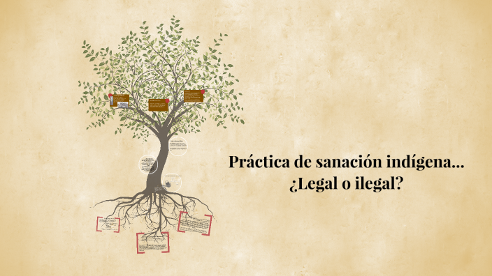 Práctica de sanación indígena ¿Legal o ilegal? by Laura Arce on Prezi