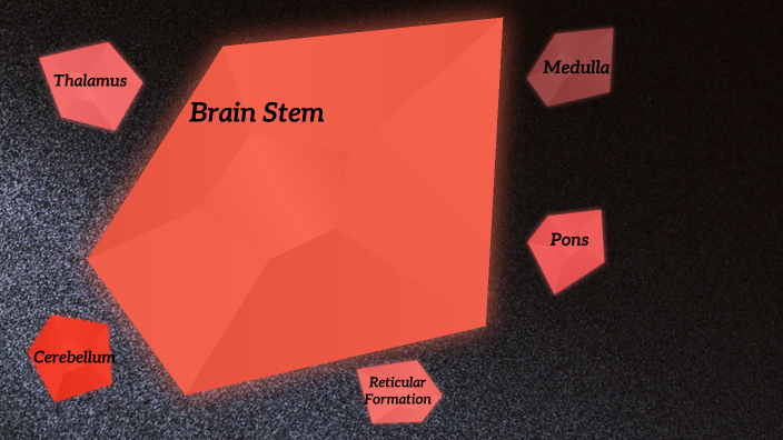 Brain Book Project by Benjamin Sun on Prezi