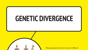 IRP Infographic by ANANYA TYAGI on Prezi Design