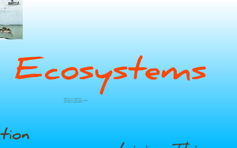 5th Grade Science: Ecosystems by Tara Healy on Prezi