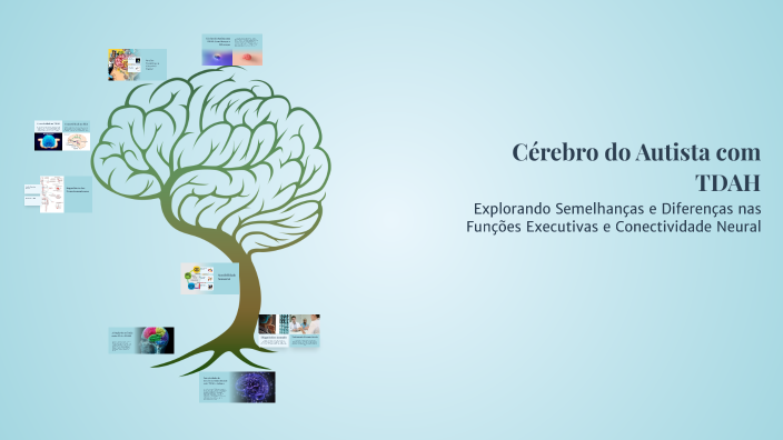 Cérebro do Autista com TDAH by Isaac Galvão on Prezi