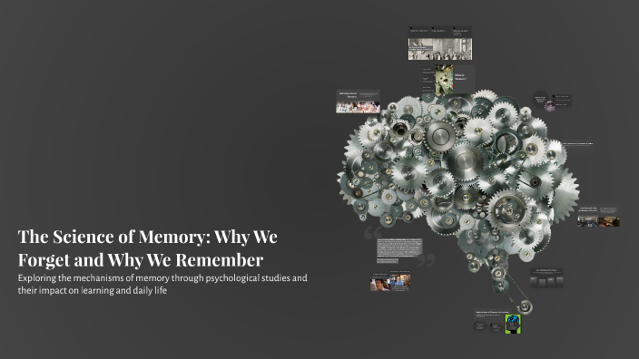 The Science of Memory: Why We Forget and Why We Remember by CengaveRR ...