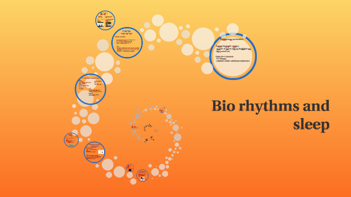Bio rhythms and sleep by Honor Virden on Prezi