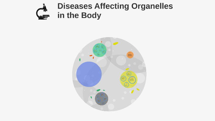 Diseases Affecting Organelles in the Body by Alexia Cope