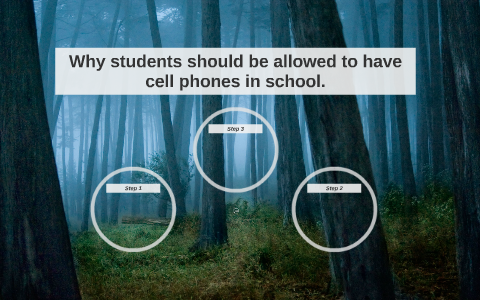why students should be allowed to have cell phones in class by Nicole ...