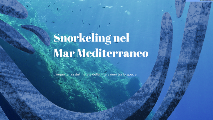 Snorkeling nel Mar Mediterraneo by Giulia Garavelli on Prezi