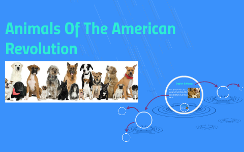 Animals Of The American Revolution by Patrice Sweeney on Prezi