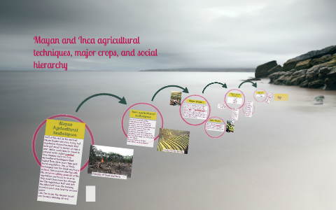 Mayan and Inca agricultural techniques, major crops, and soc by Kira ...