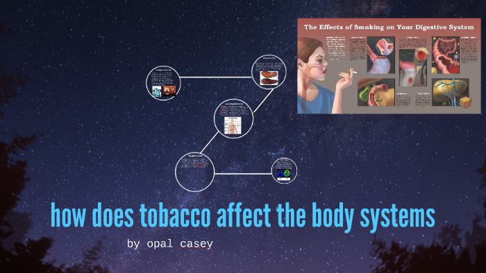 how does tobaco affect the body systems by opal casey on Prezi