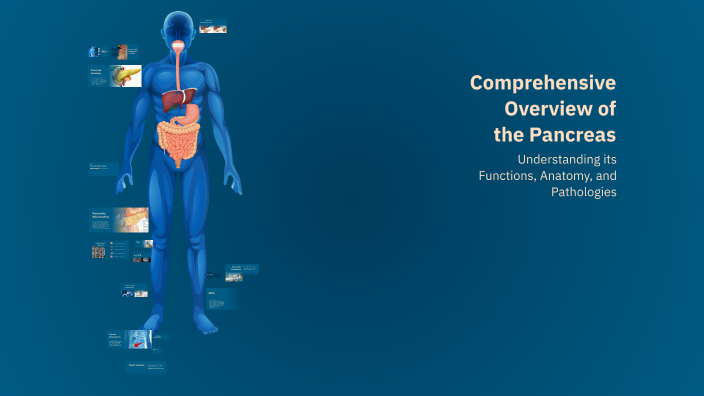 Comprehensive Overview of the Pancreas by Dania Ali on Prezi