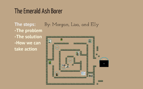 The Emerald Ash Borer by Morgan Knechtel