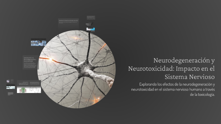 Neurodegeneración y Neurotoxicidad: Impacto en el Sistema Nervioso by ...