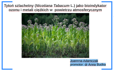 Tytoń szlachetny (Nicotiana Tabacum L.) jako bioindykator oz by Joanna ...