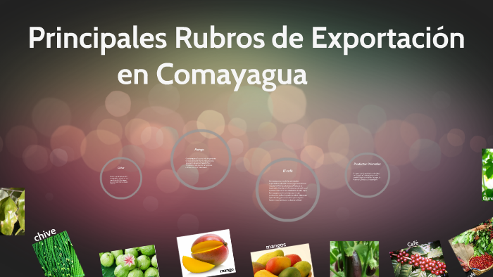 Principales Rubros de Exportación en Comayagua by Cristhian Fortin on Prezi