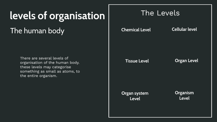 levels of organization of the human body by Damian Strong on Prezi